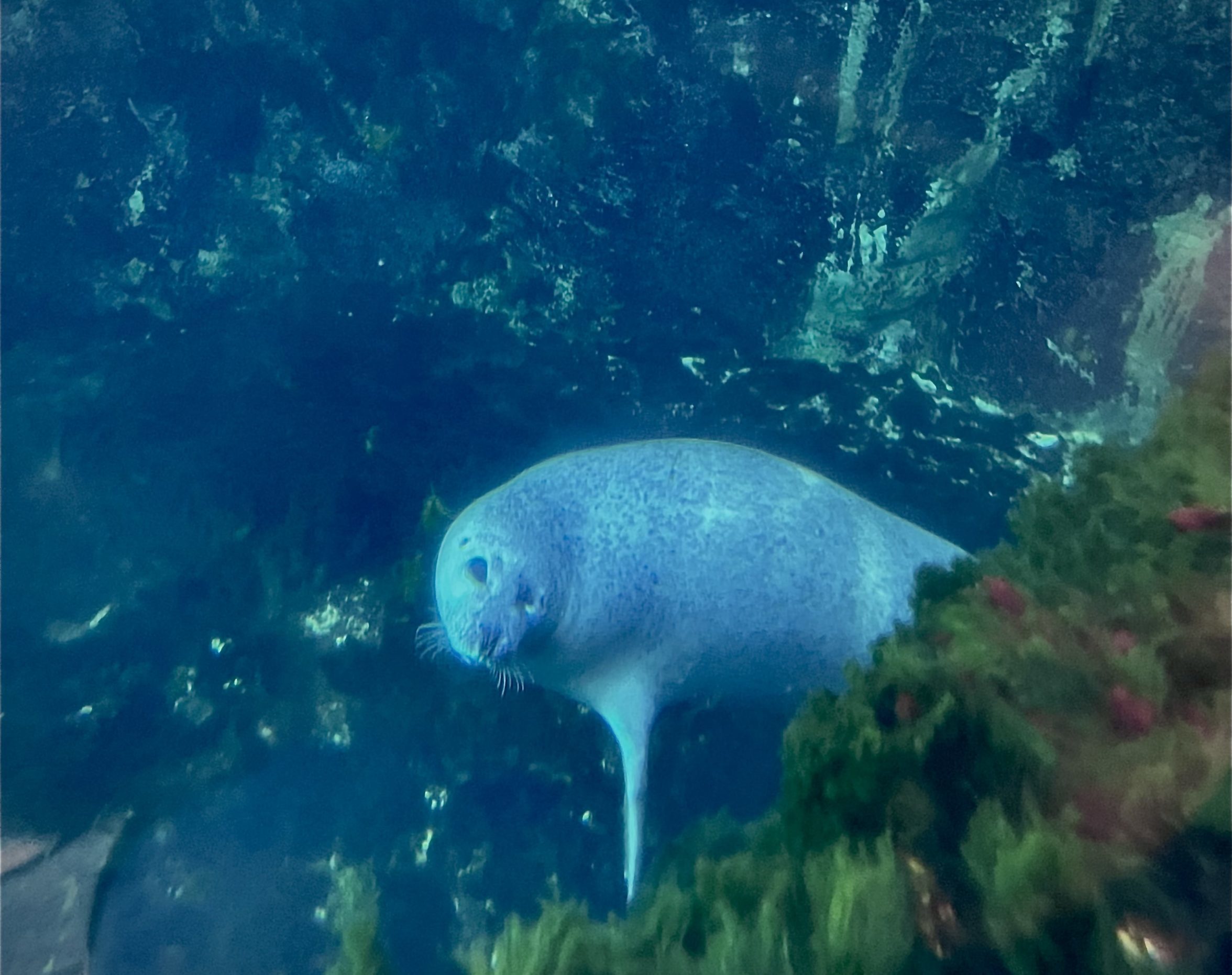 5 Harborwalk Gems Worth Visiting - Harborwalk - Harborwalk